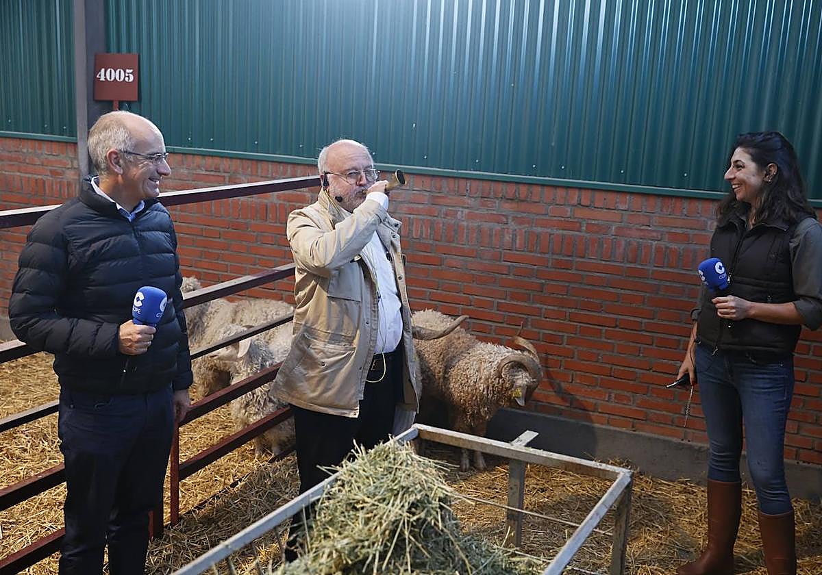 Agropopular se traslada este sábado a Salamaq | La Gaceta de Salamanca